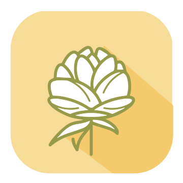 Flower Delivery Dubai, Flower Shop, Top Rated Florist - fnp.ae