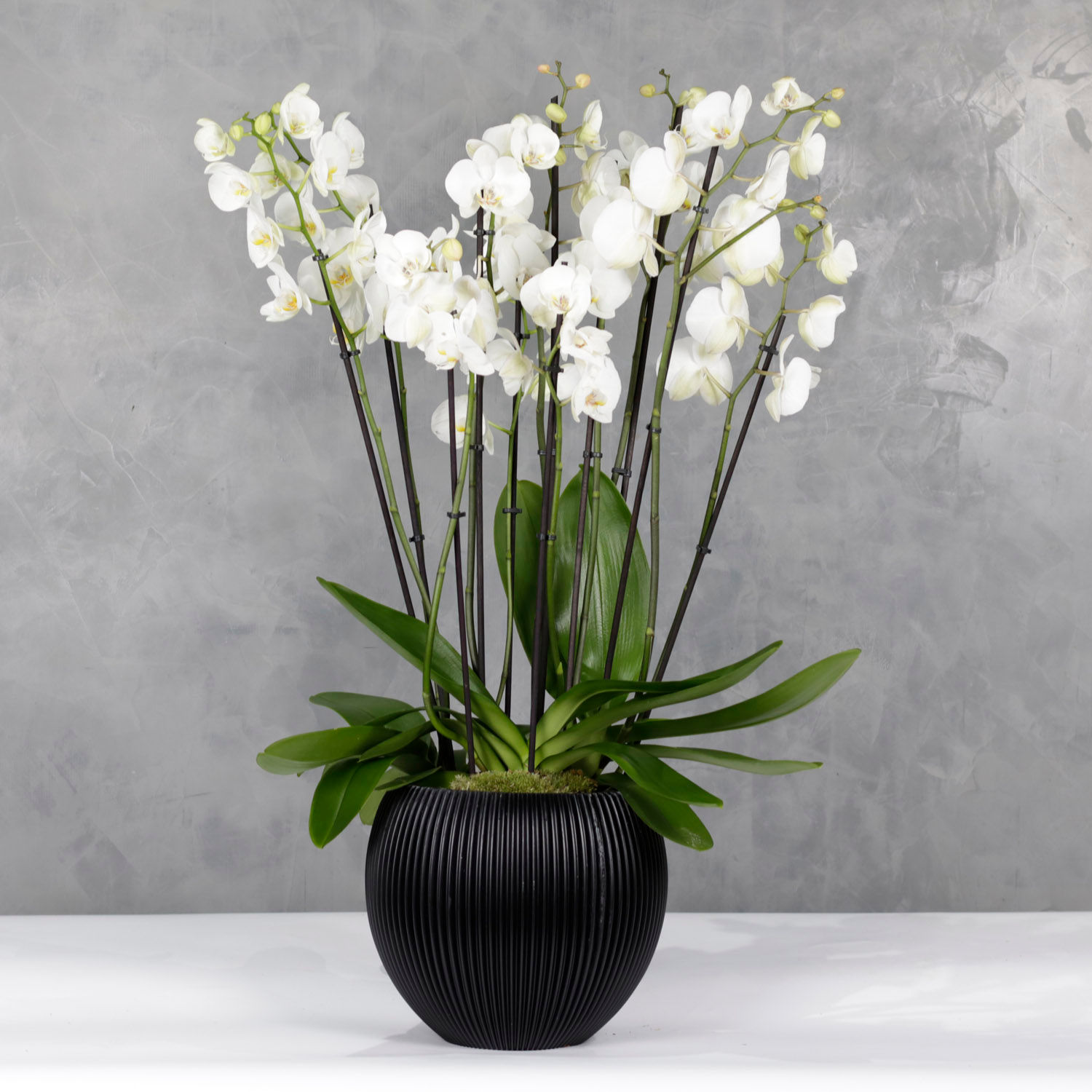 Online 12 Orchid Flower Sticks In Groove Acrylic Bowlvase Gift Delivery ...