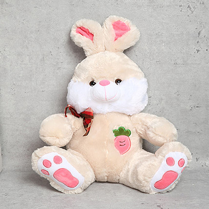 Online Cuddly Rabbit Soft Toy Gift Delivery in UAE - FNP