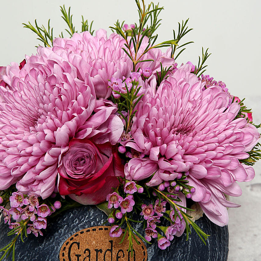 Order Delistar and Roses Flower Arrangement Online | Same-Day Delivery ...