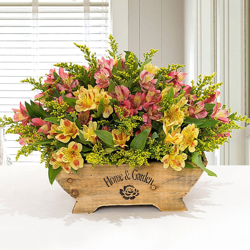 Order Vibrant Alstromeria N Solidaster Flower Arrangement Online | Same ...