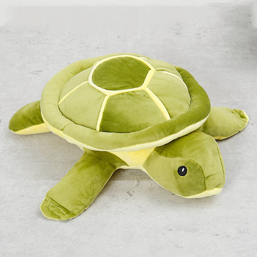 Order Turtle Soft Toy Online | Same-Day Delivery UAE - Fnp.ae