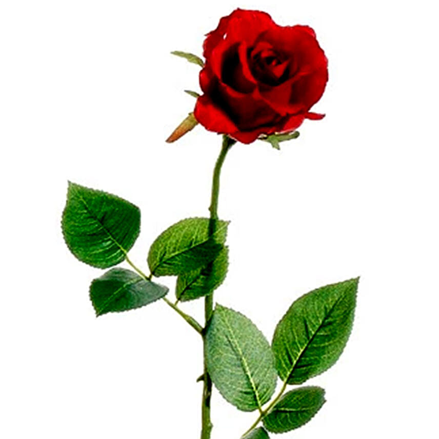 Order 6 Artificial Red Roses Online | Same-Day Delivery UAE - Fnp.ae