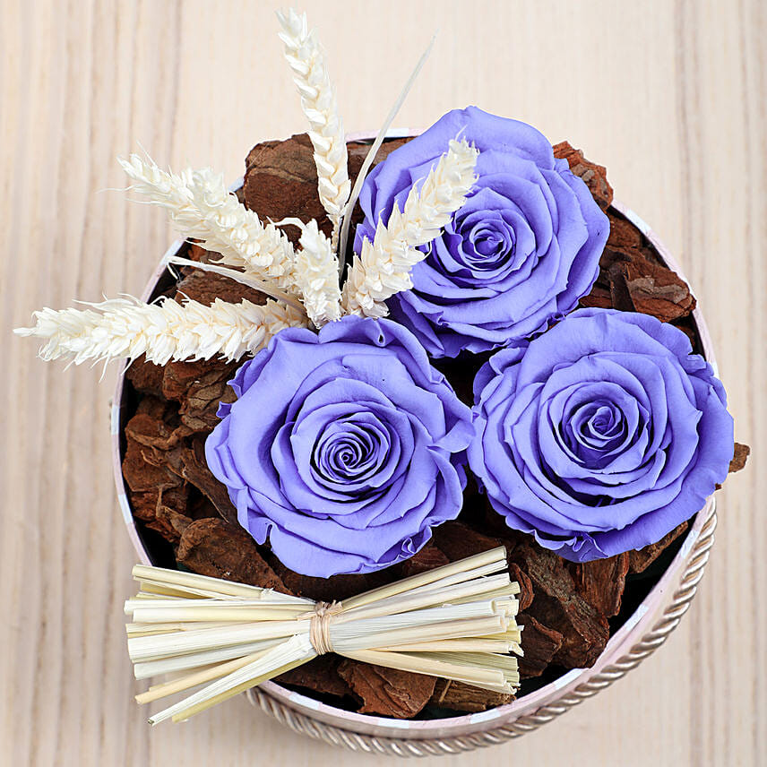 Order Purple Forever Roses Online | Same-Day Delivery UAE - Fnp.ae