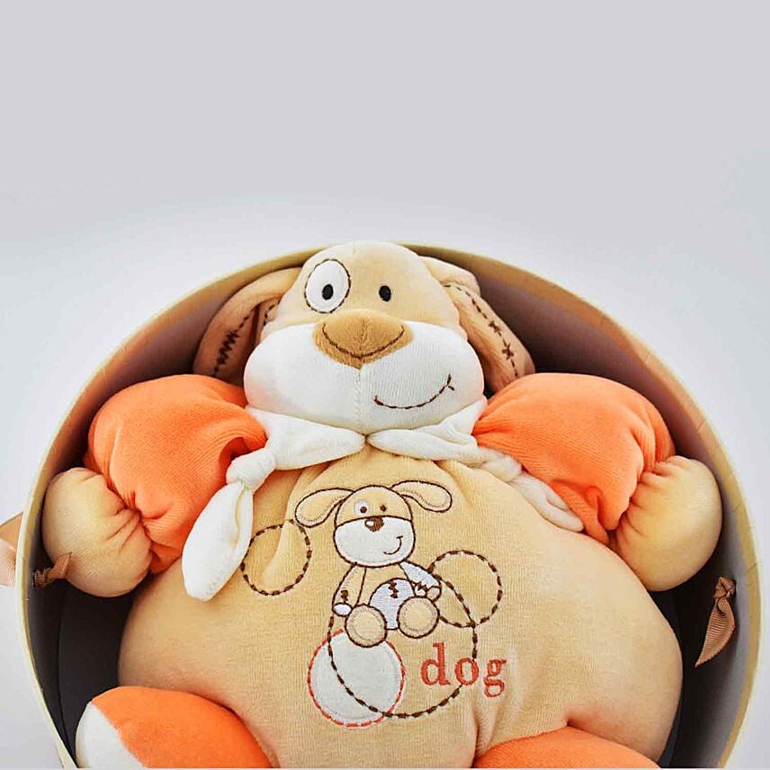 Order Rabbit in a Box Soft Toy Online | Same-Day Delivery UAE - Fnp.ae