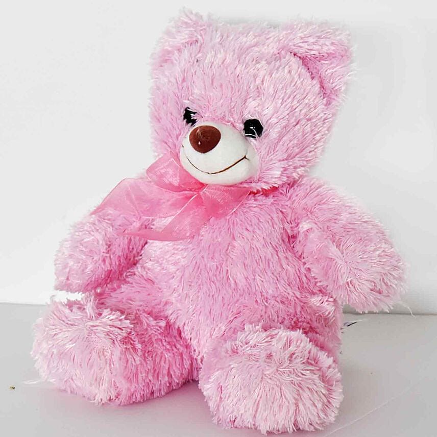 Order Soft and Fully Pink Teddy Online | Same-Day Delivery UAE - Fnp.ae