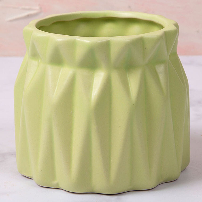 Order Light Green Ceramic Planter Online | Same-Day Delivery UAE - Fnp.ae