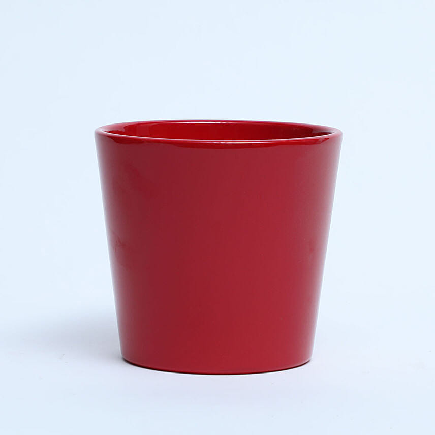 Order Red Ceramic Planter Online | Same-Day Delivery UAE - Fnp.ae