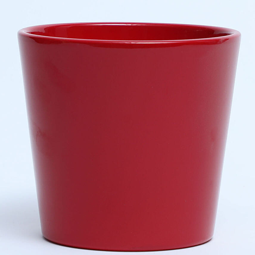 Order Red Ceramic Planter Online | Same-Day Delivery UAE - Fnp.ae