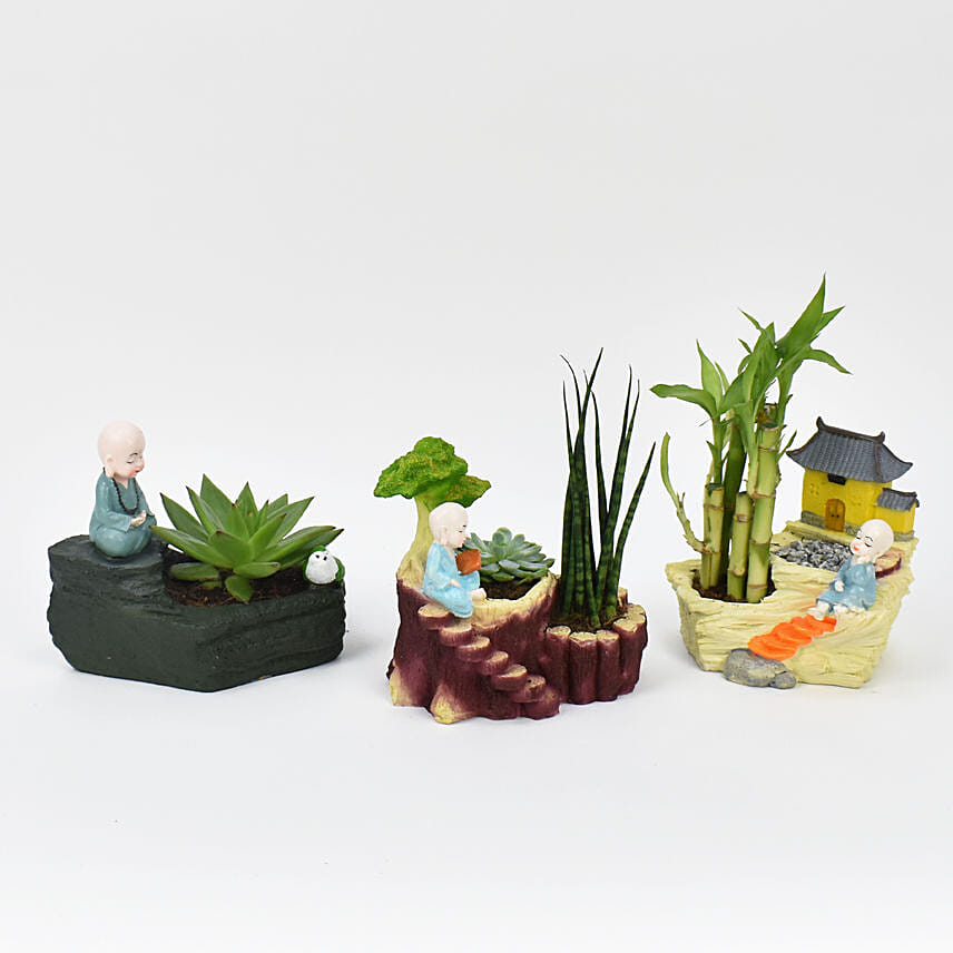 Online Set Of 3 Plants In Beautiful Monk Planters Gift Delivery in UAE ...