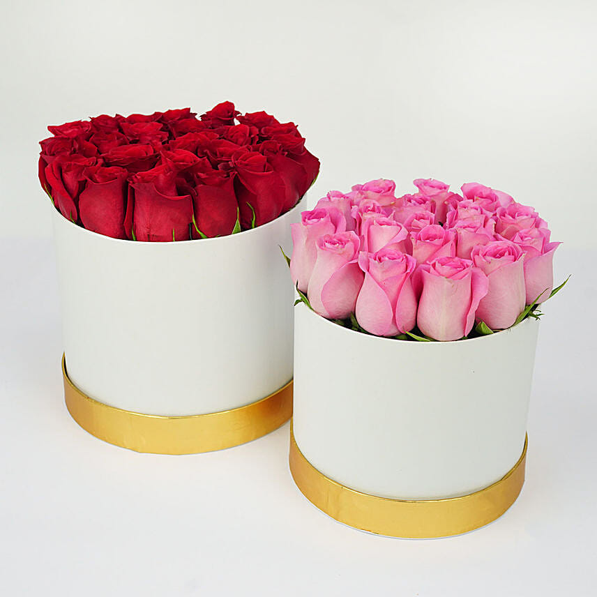 Order Red and Pink Roses Allure in Round Boxes Online | Same-Day ...