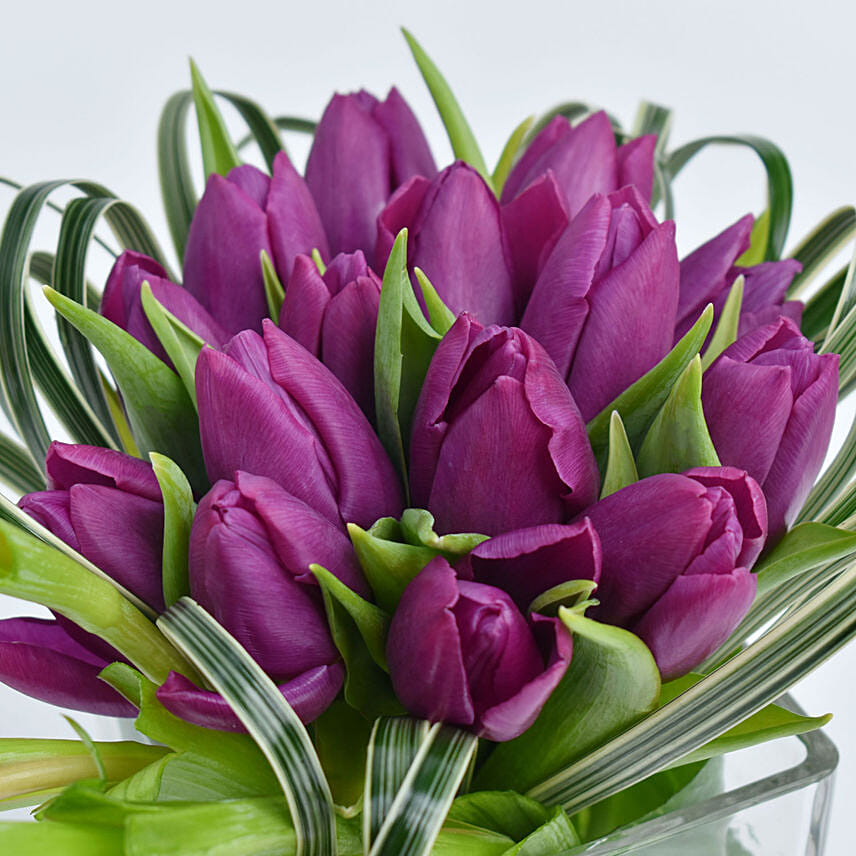 أمر باقة ورد توليب موف 15 وردة في فازه زجاجية أون لاين | توصيل نفس ...