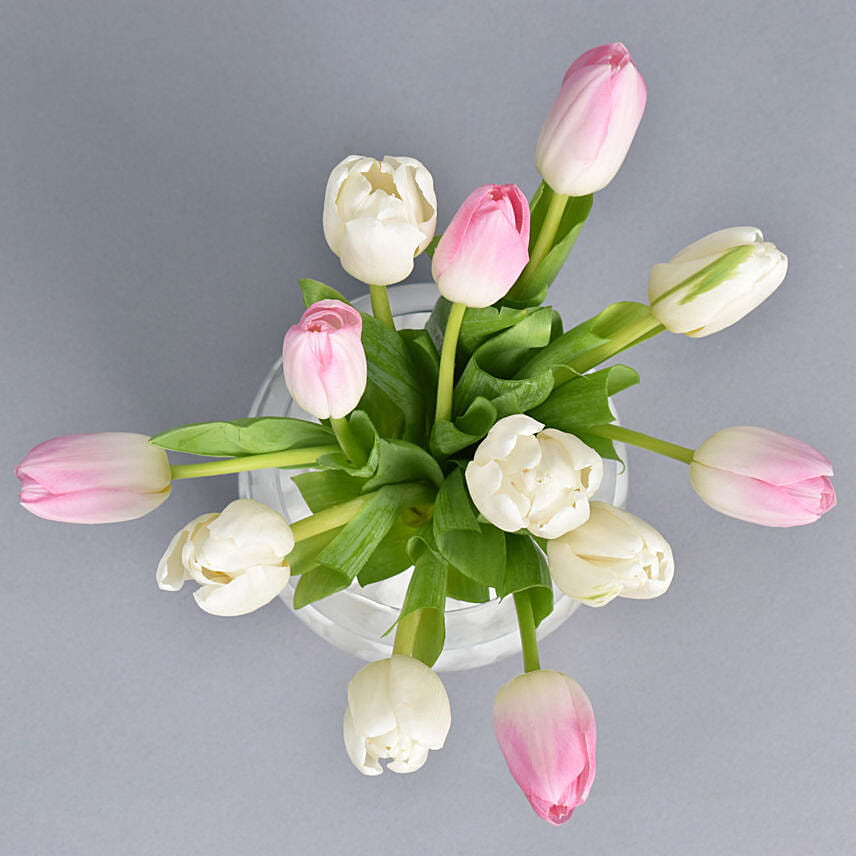 Order 12 Tulips in Fish Bowl Online | Same-Day Delivery UAE - Fnp.ae