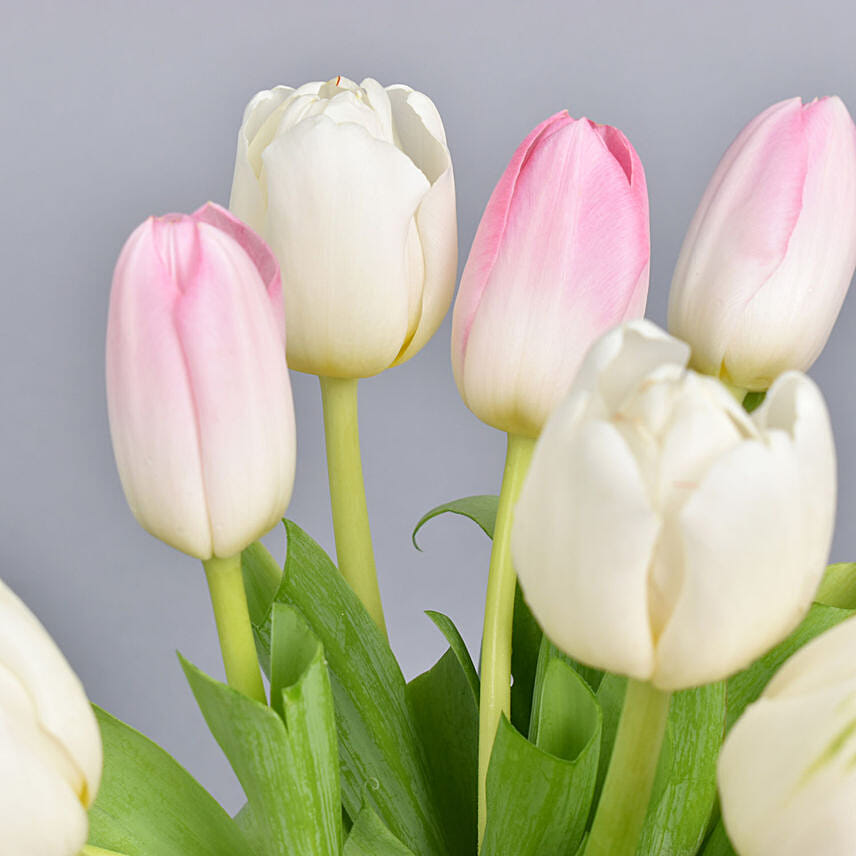 Order 12 Tulips in Fish Bowl Online | Same-Day Delivery UAE - Fnp.ae