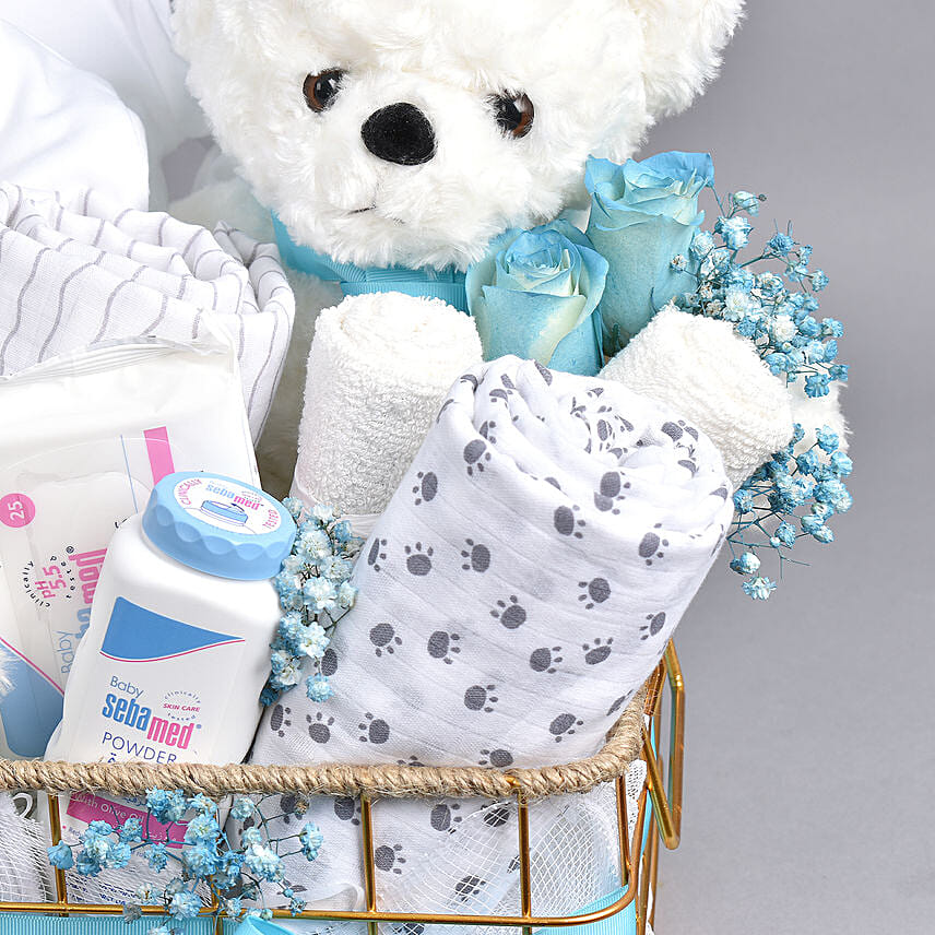 Order Double Joy New Born Baby Hamper For Twins Online | Same-Day ...