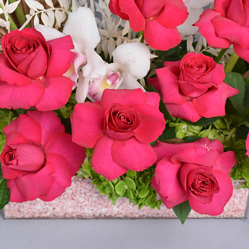 Order Roses N Smiles Online | Same-Day Delivery UAE - Fnp.ae