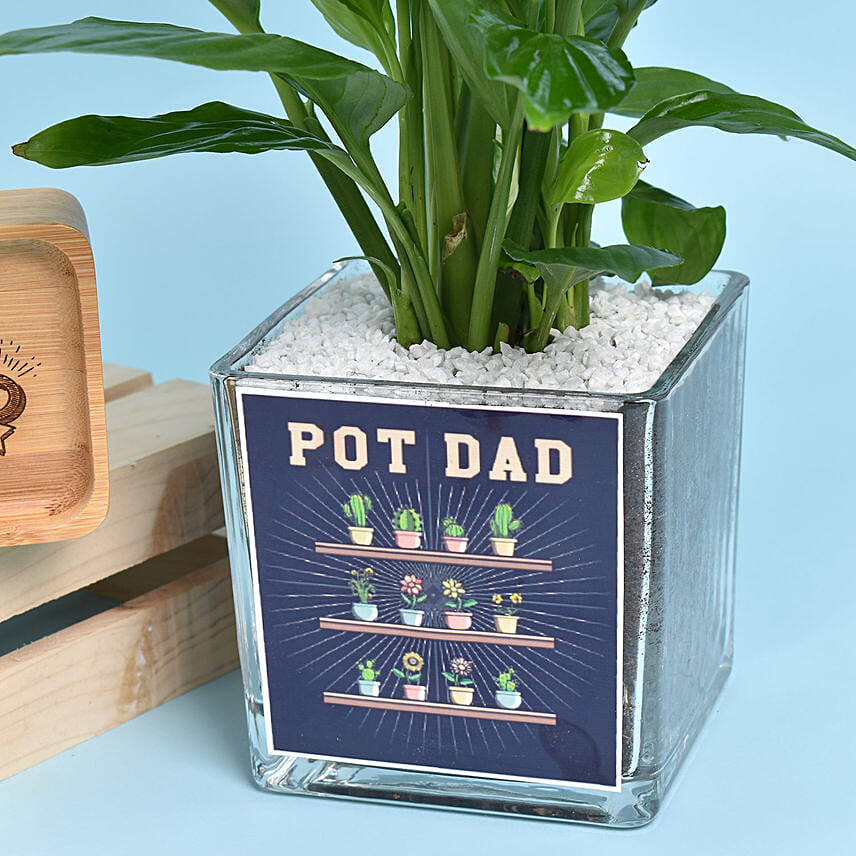 Online Pot Dad Peace Lilly Plant Combo Gift Delivery in UAE - FNP