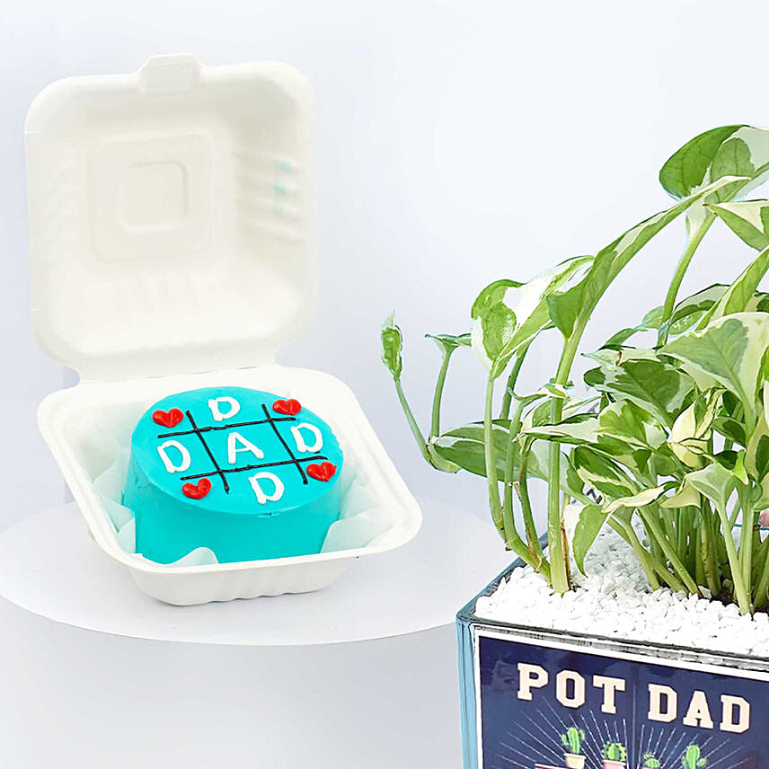Online Pot Dad Plant and Cake Combo Gift Delivery in UAE - FNP