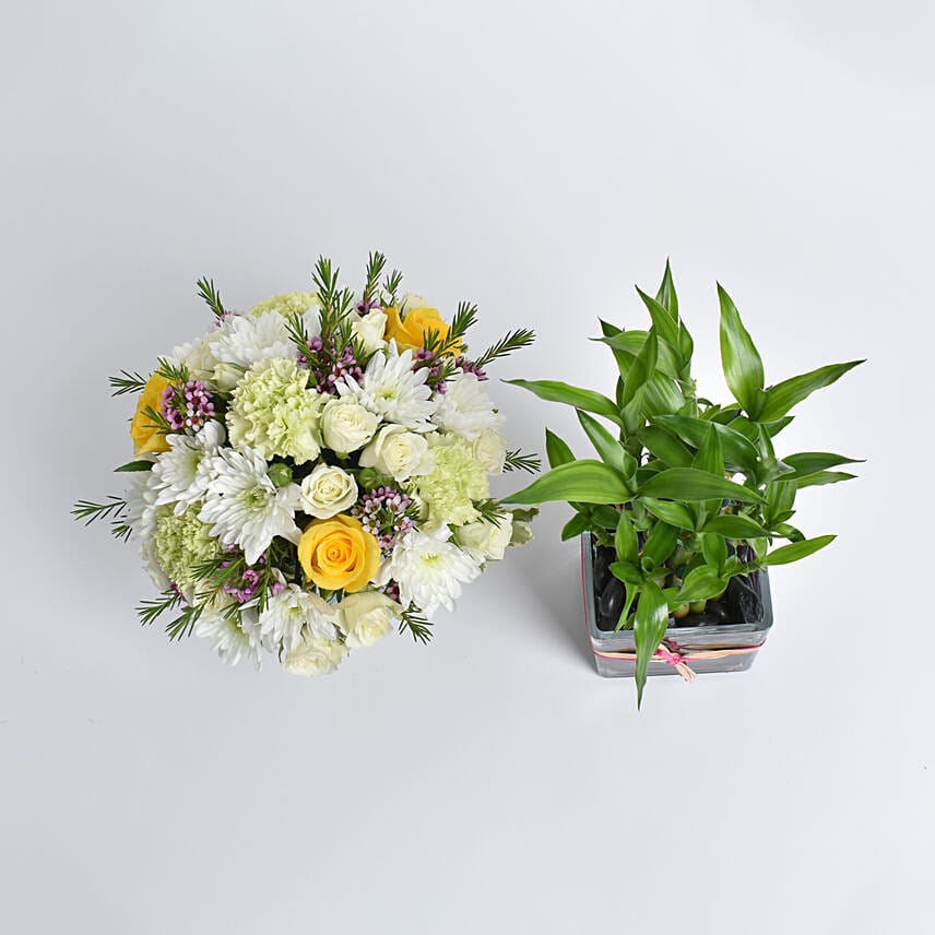 Order Get Well Soon Flowers and Lucky Bamboo Online | Same-Day Delivery ...