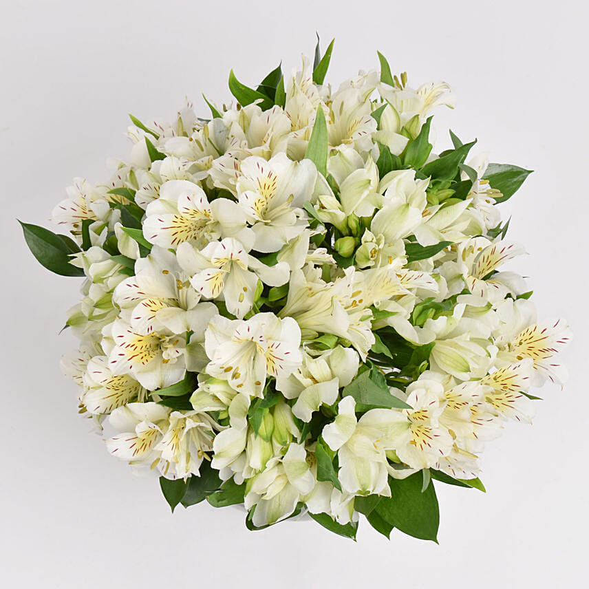 Order White Peruvian lily Arrangement Online | Same-Day Delivery UAE ...