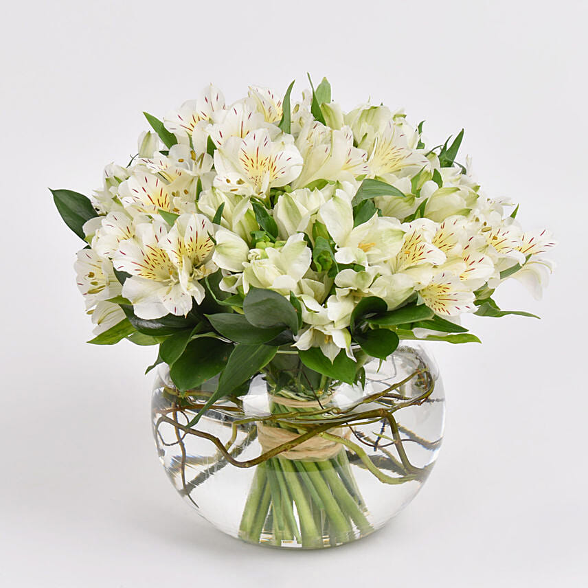 Order White Peruvian lily Arrangement Online | Same-Day Delivery UAE ...