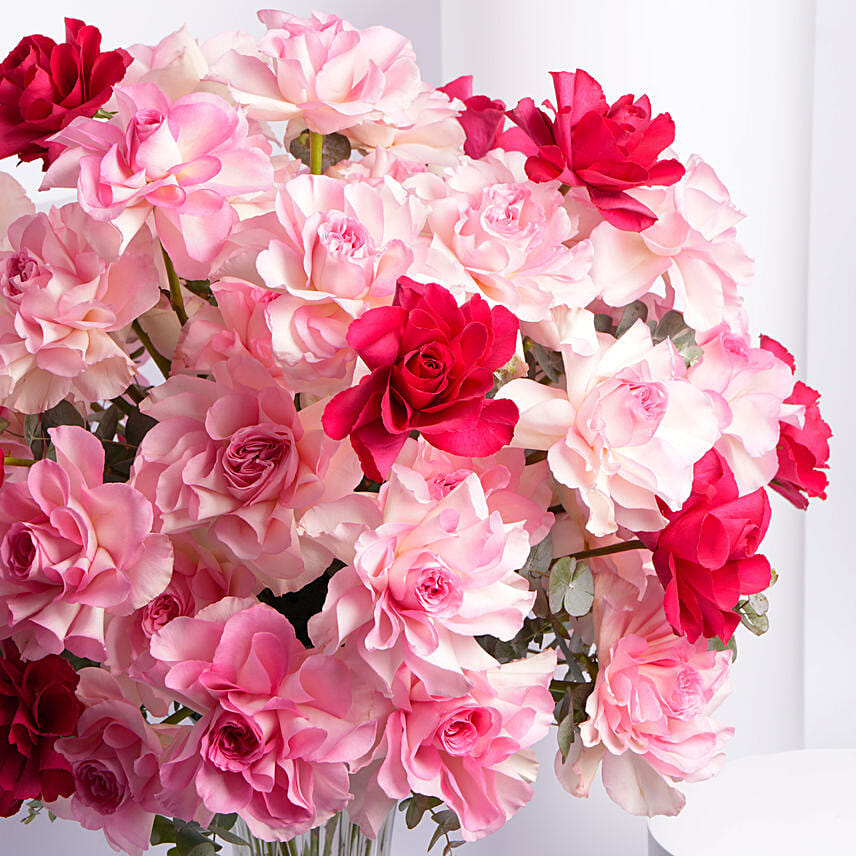 Order Bunch of 50 Gorgeous Pink Roses Online | Same-Day Delivery UAE ...