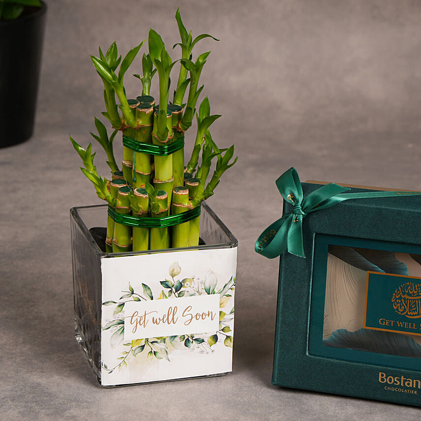 Order Bostani Get Well Soon Chocolate Small with Lucky Bamboo Online ...