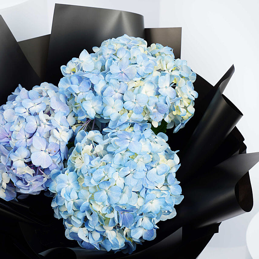 Order Blue Hydrangea Bouquet Online | Same-Day Delivery UAE - Fnp.ae
