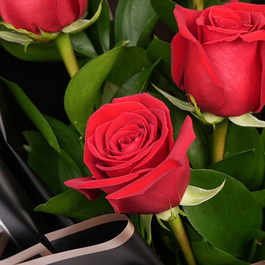 Order Bunch of Beautiful 6 Red Rose Online | Same-Day Delivery UAE - Fnp.ae