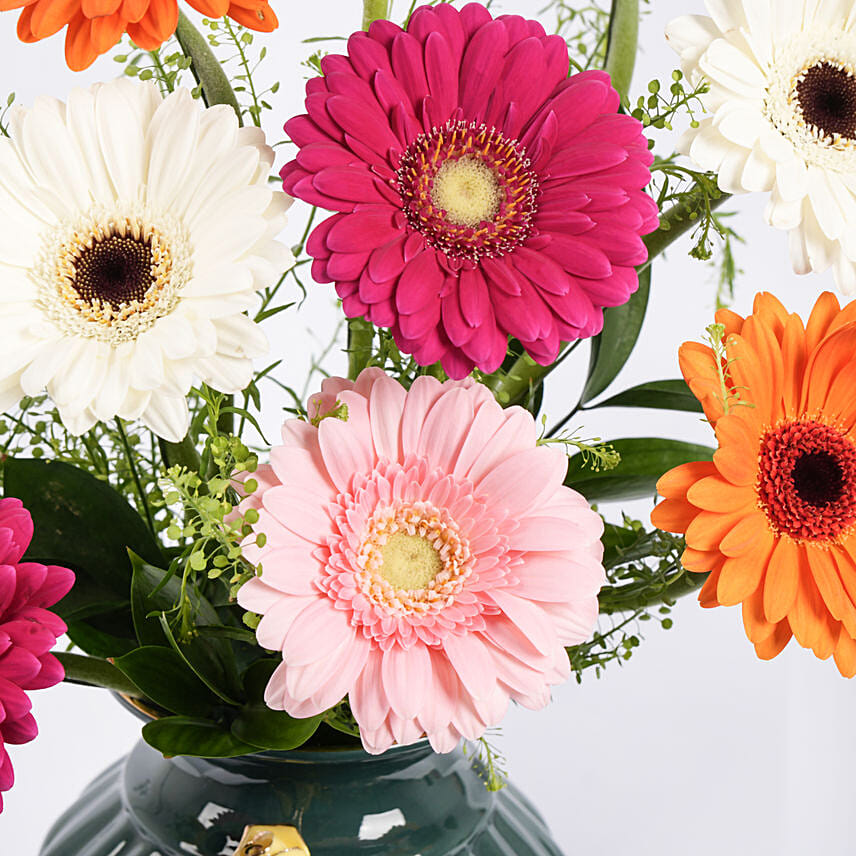 Order Mixed Color Gerbera In Premium Vase Online | Same-Day Delivery ...
