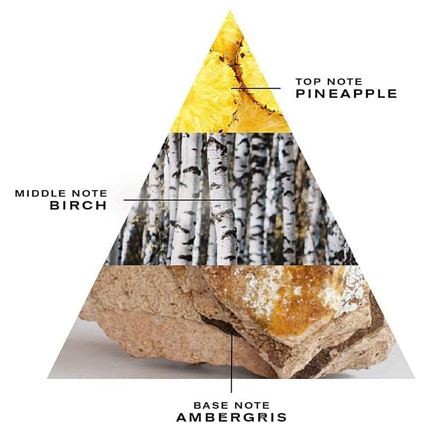 Order Creed Aventus For Him 100 Ml Online | Same-Day Delivery UAE - Fnp.ae