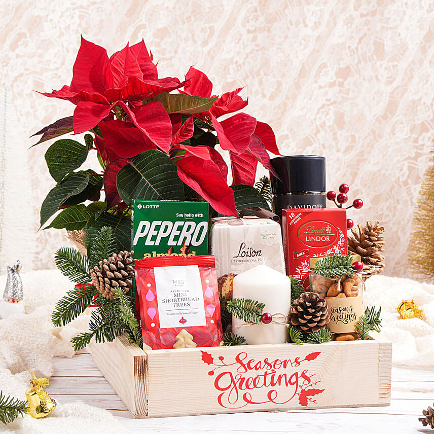 Christmas Gift Hampers in Dubai | Christmas Gift Boxes - fnp.ae