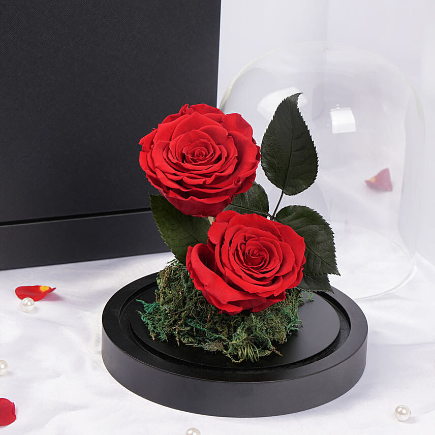Order Red Forever Rose Duo in PremiumBox Online | Same-Day Delivery UAE ...