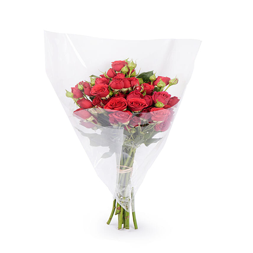 أمر Fresh Bunch of Red Baby Roses 10 Baby Roses أون لاين | توصيل نفس ...