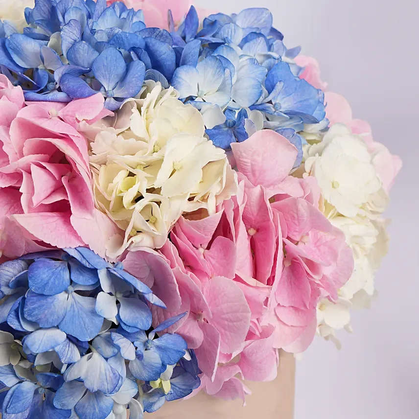 Order Pastel Hydrangea Mix Flower Box Online | Same-Day Delivery UAE ...