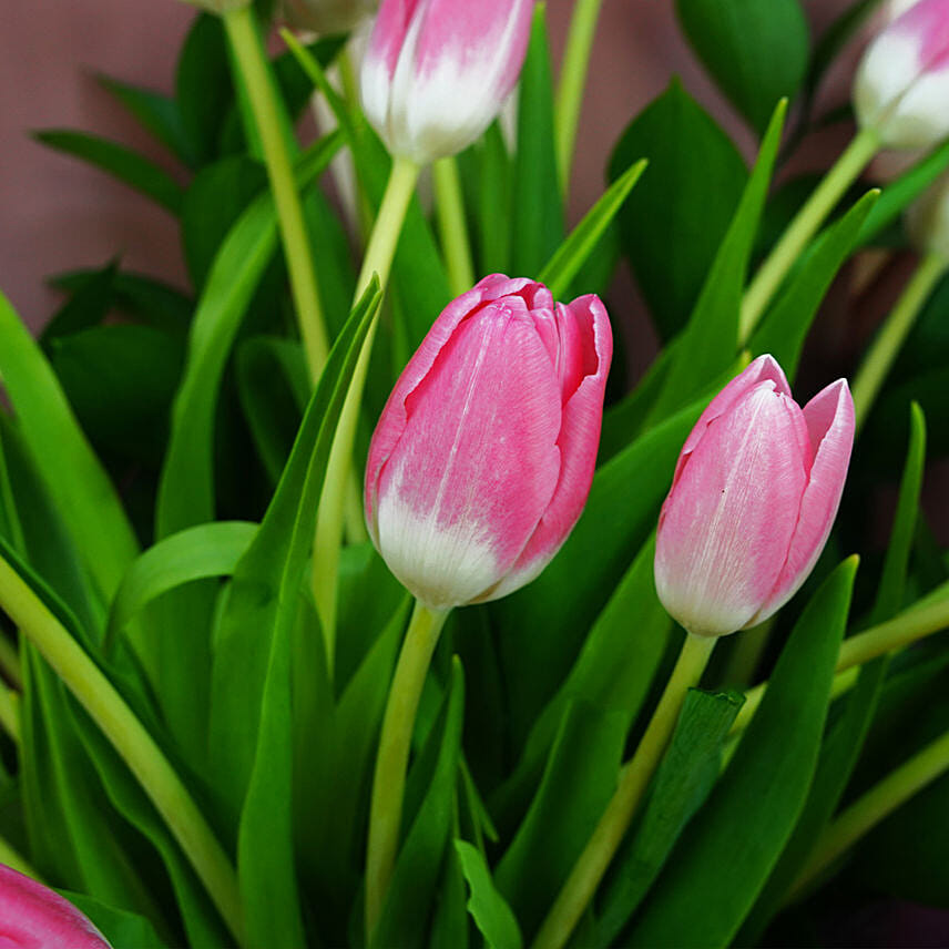 Online Lovely Pink N Light Pink Tulips Bouquet Gift Delivery in Lebanon - Fnp.ae