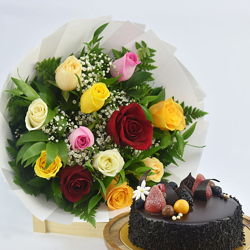 Online Dozen Multi Roses with Fudge Cake Gift Delivery in Qatar - FNP