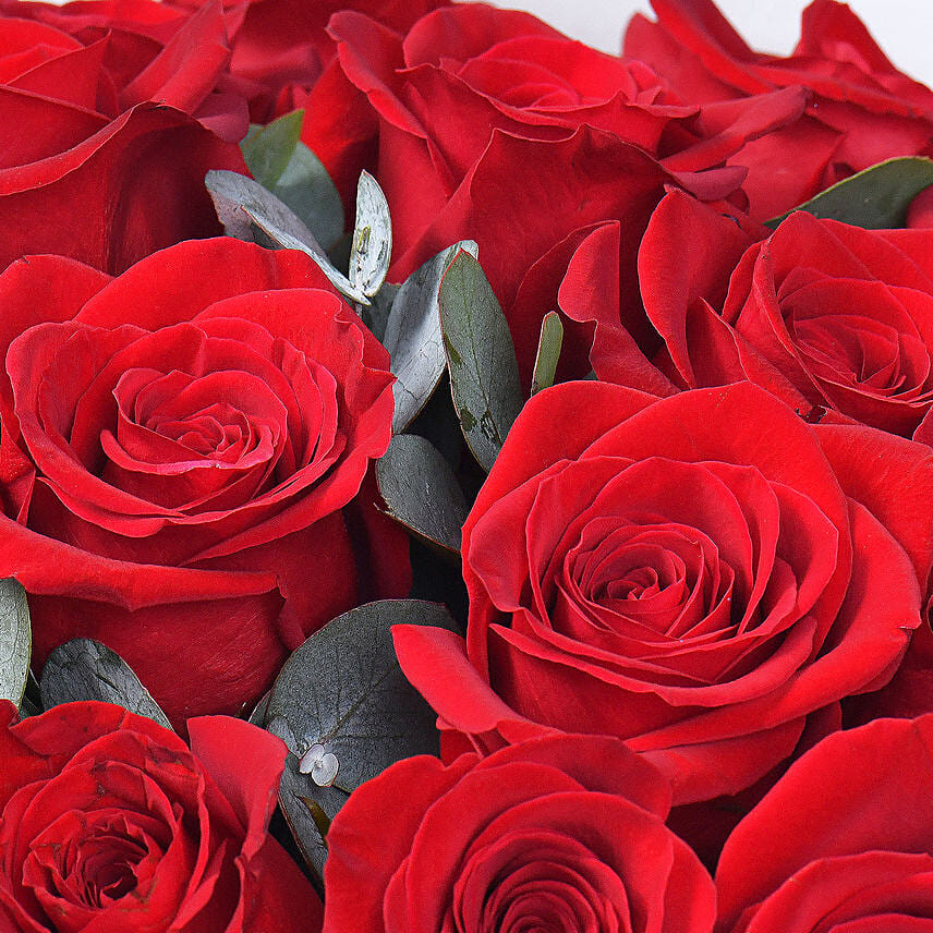 Online Timeless Bouquet of 20 Red Roses Gift Delivery in Qatar - FNP