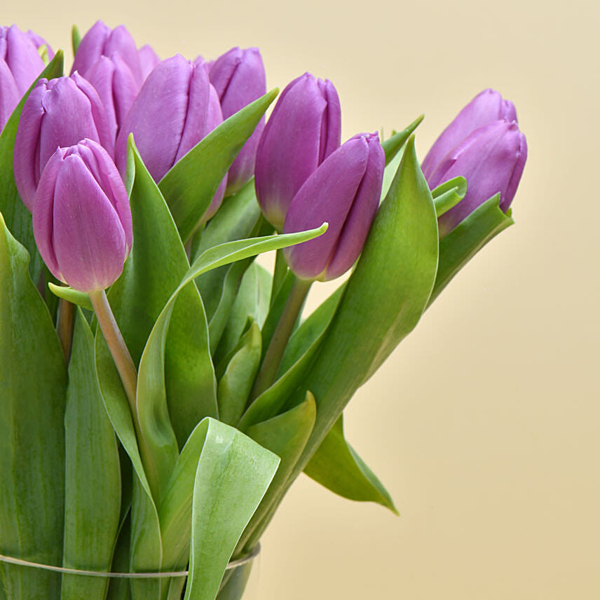 Online 10 Purple Tulips Arrangement Gift Delivery in Qatar - FNP