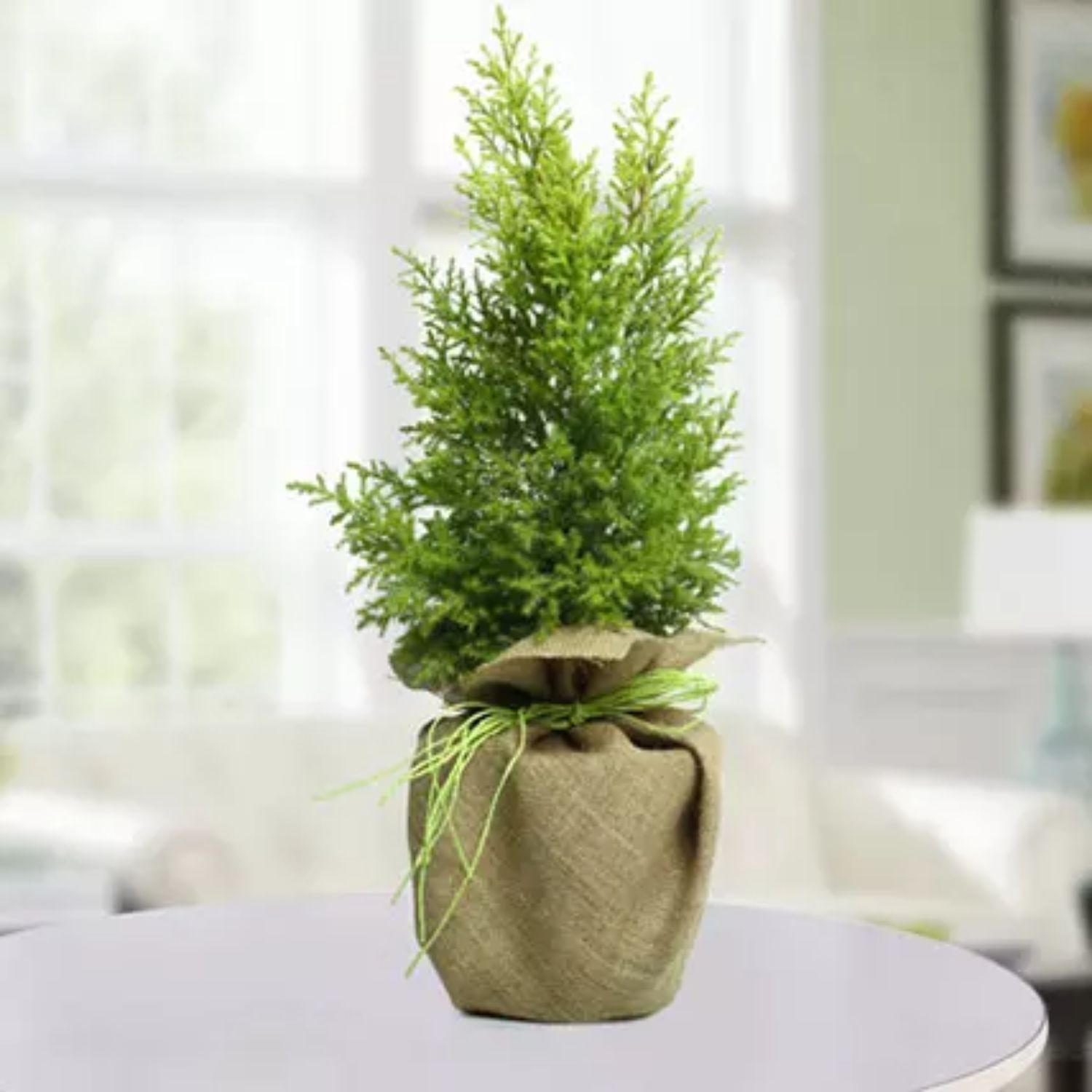 Online Christmas Tree Gift Delivery in Qatar - FNP