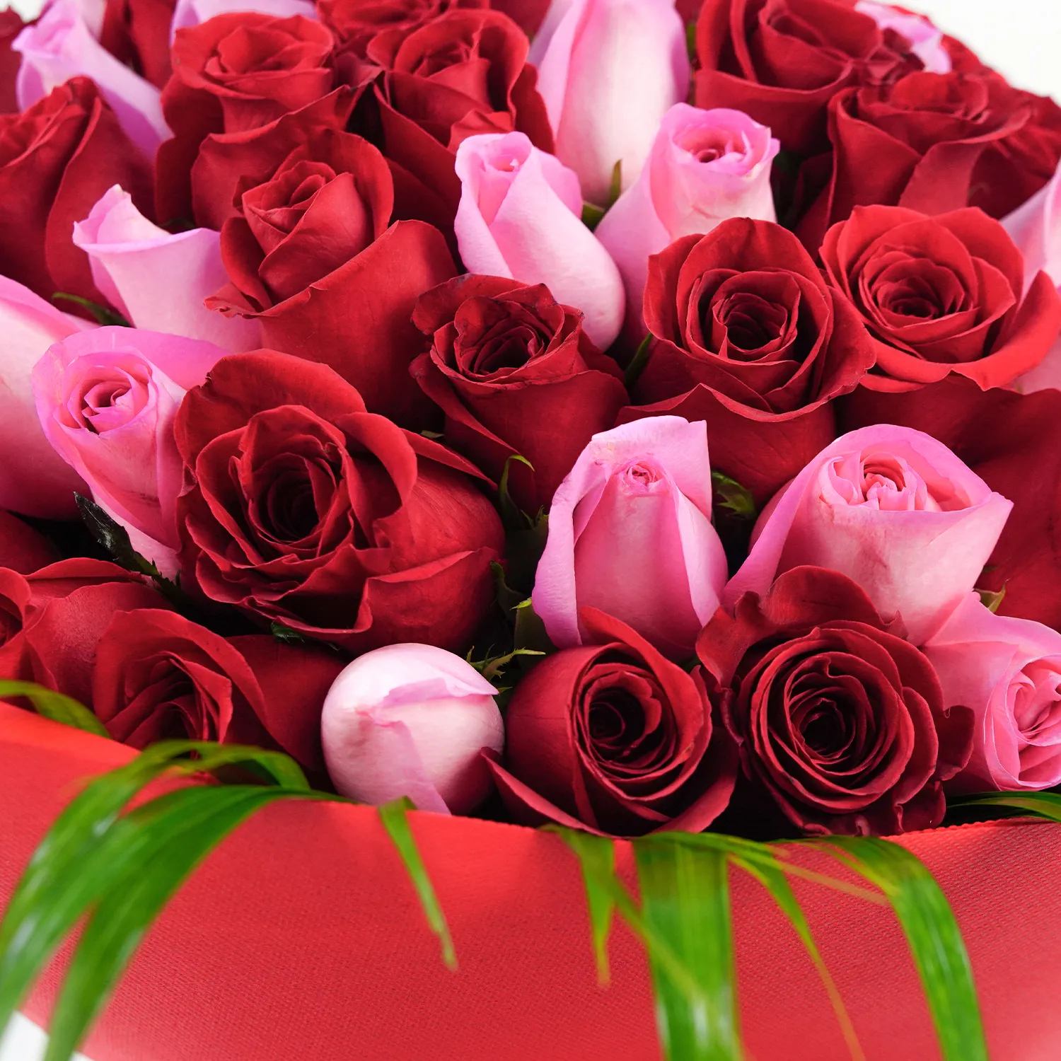 Online 200 Roses Special Bouquet Gift Delivery in Qatar - Fnp.ae