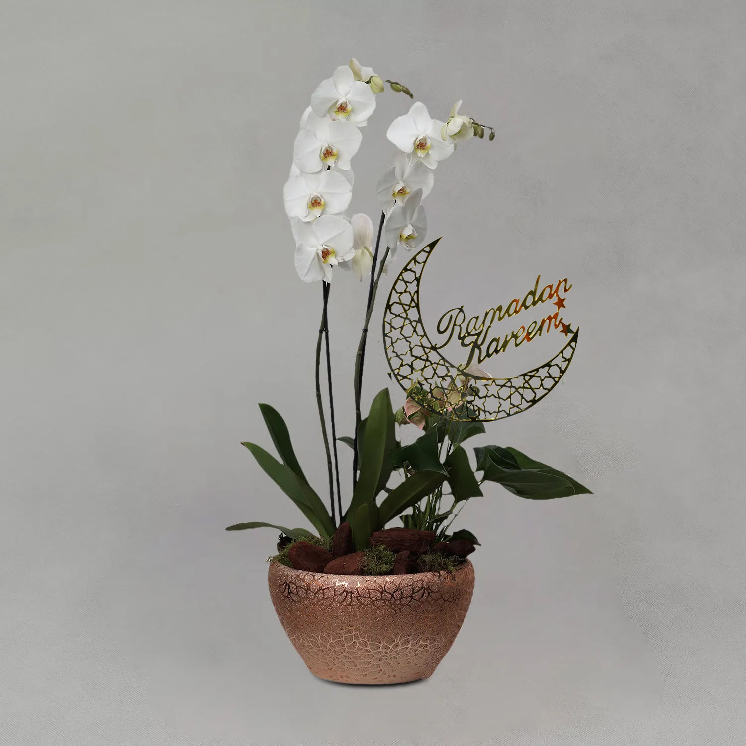 Online Phalaenopsis & Anthurium Plant In Golden Pot With Ramadan Topper ...