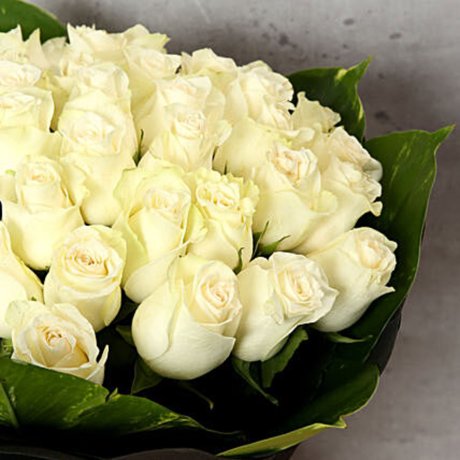 Online White Rose Bouquet Gift Delivery in Qatar - FNP