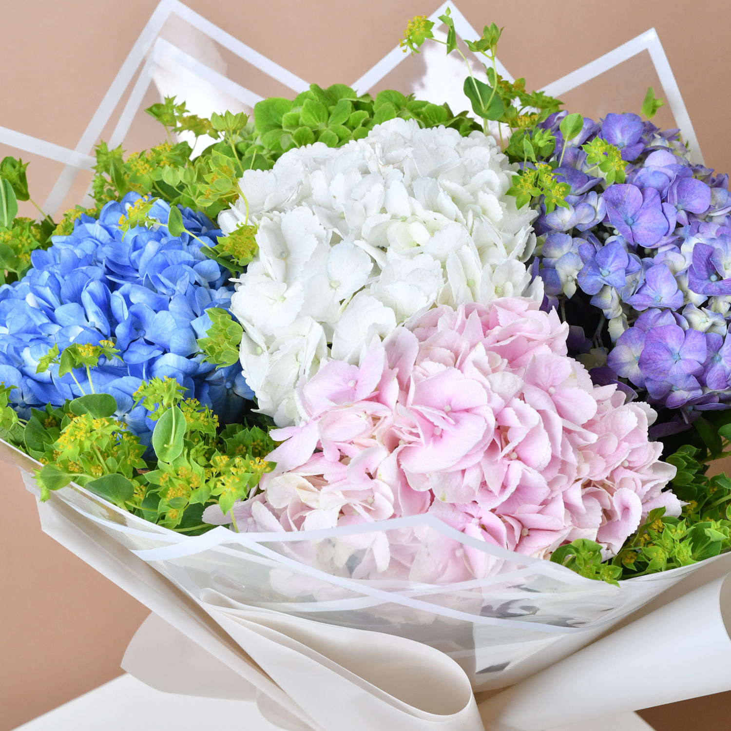 Online Hydrangea Haven Mix Gift Delivery in Qatar - FNP