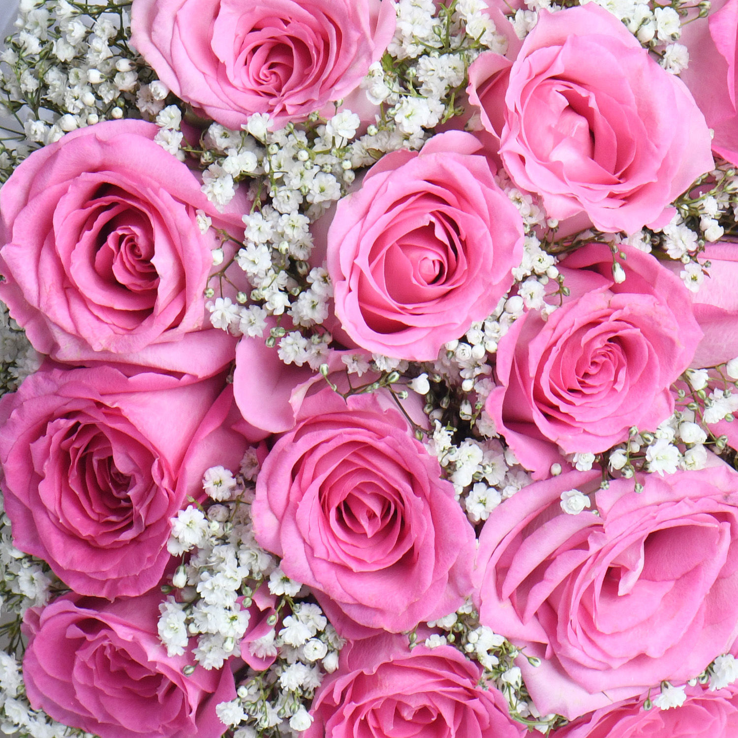 Online 25 Pink Roses Bouquet Gift Delivery in Qatar - FNP