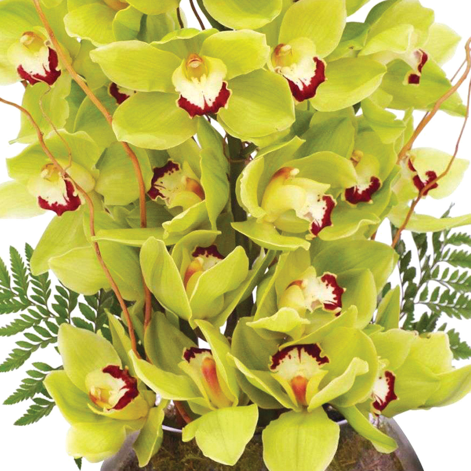 Online Posy Vibes Gift Delivery in Saudi-arabia - FNP