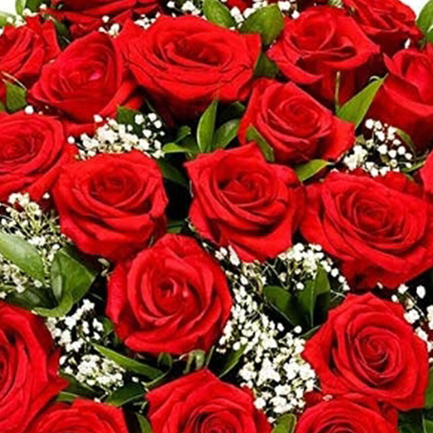 Online 24 Red Roses Bouquet Gift Delivery in Usa - FNP