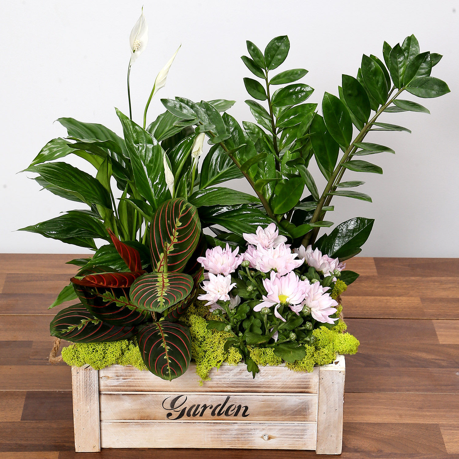 Order Beautiful Green Garden Box Online | Same-Day Delivery UAE - Fnp.ae