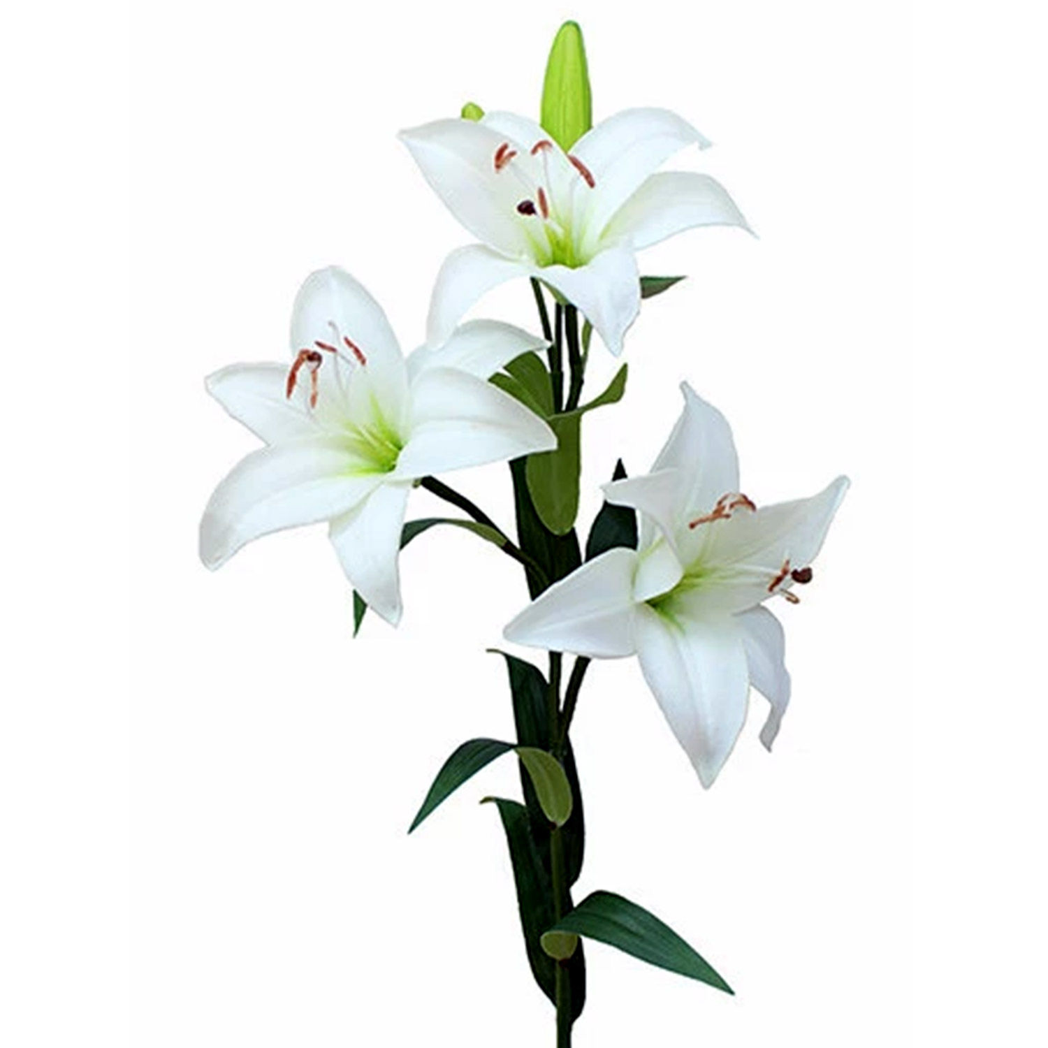 Order Artificial White Lily Stems Online | Same-Day Delivery UAE - Fnp.ae