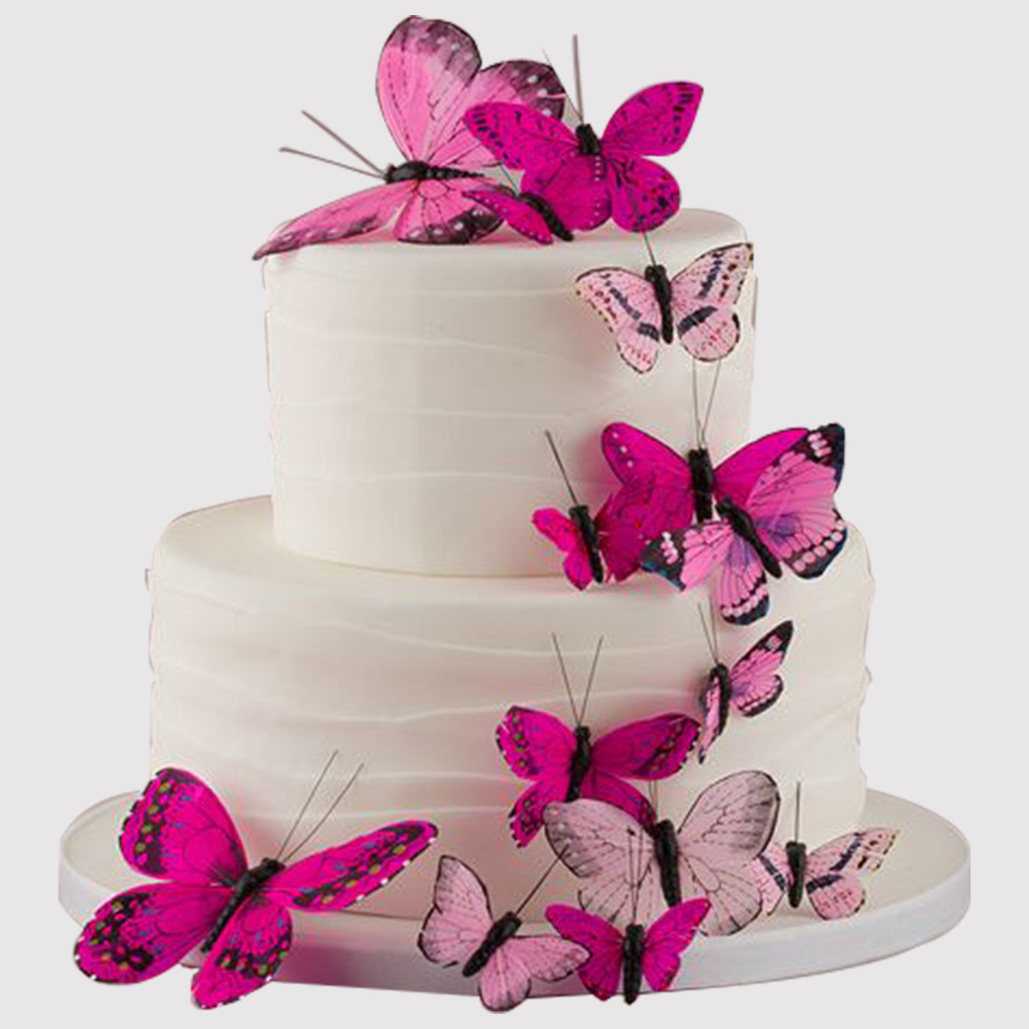 Order Pretty Pink Butterfly Chocolate Cake Online | Same-Day Delivery ...
